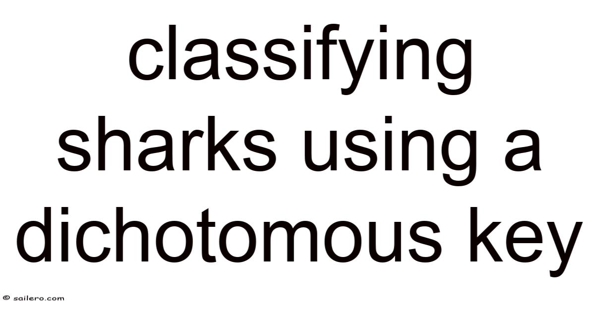 Classifying Sharks Using A Dichotomous Key